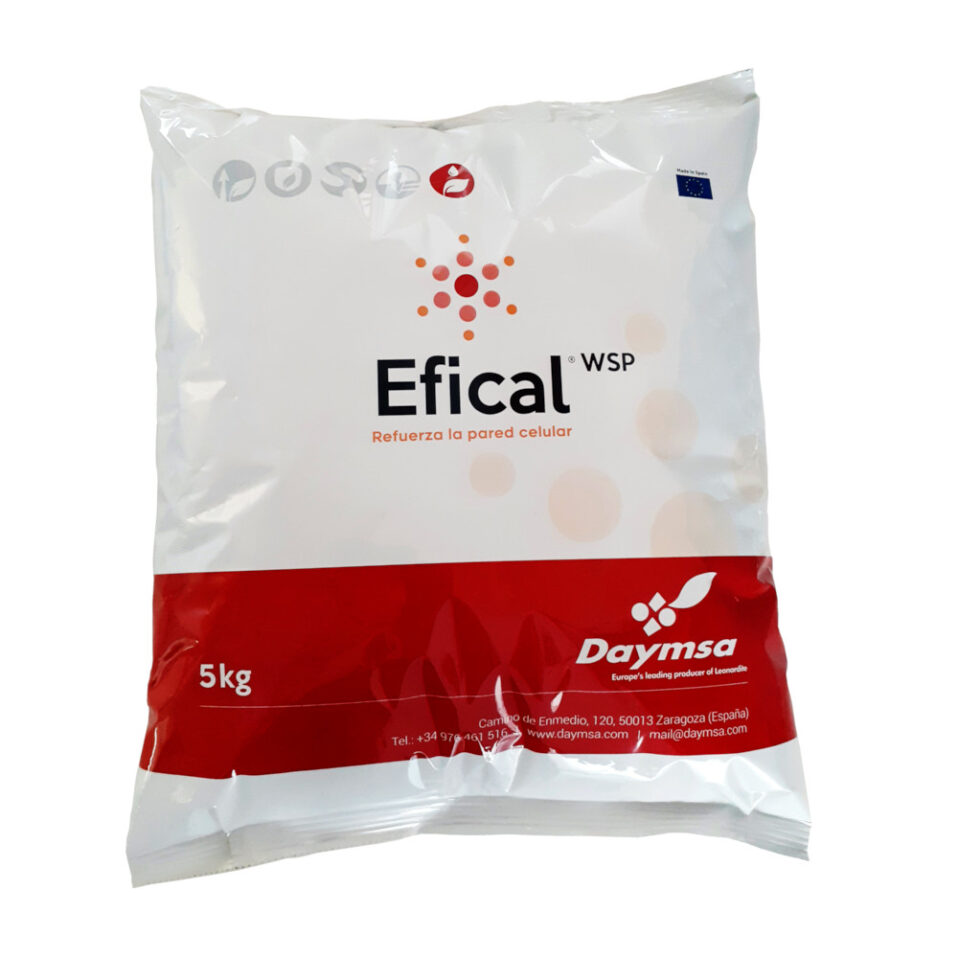 Efical® WSP – 5 kg – Proeco
